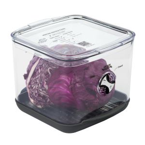 ProKeeper Plus Square Produce Container | Progressive | Everything Kitchens