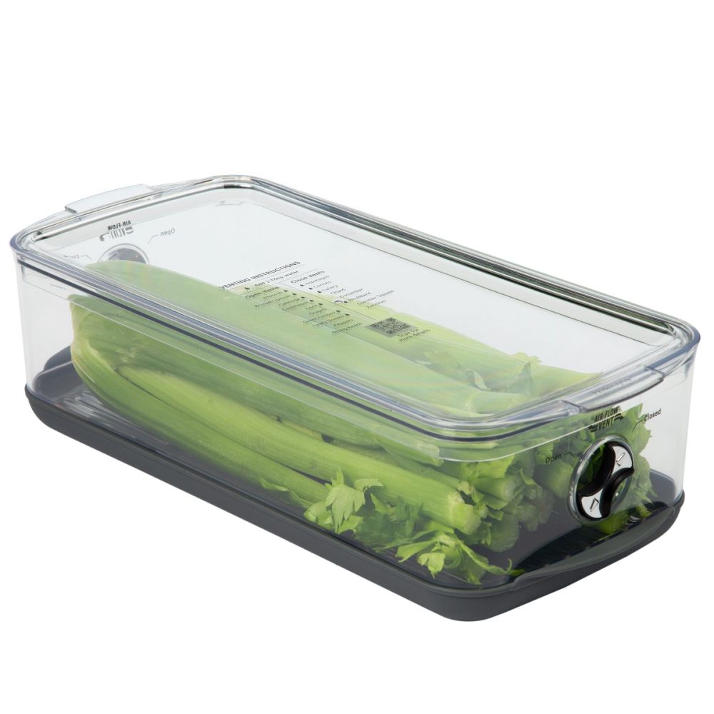 ProKeeper Plus Long Produce Container | Progressive | Everything Kitchens