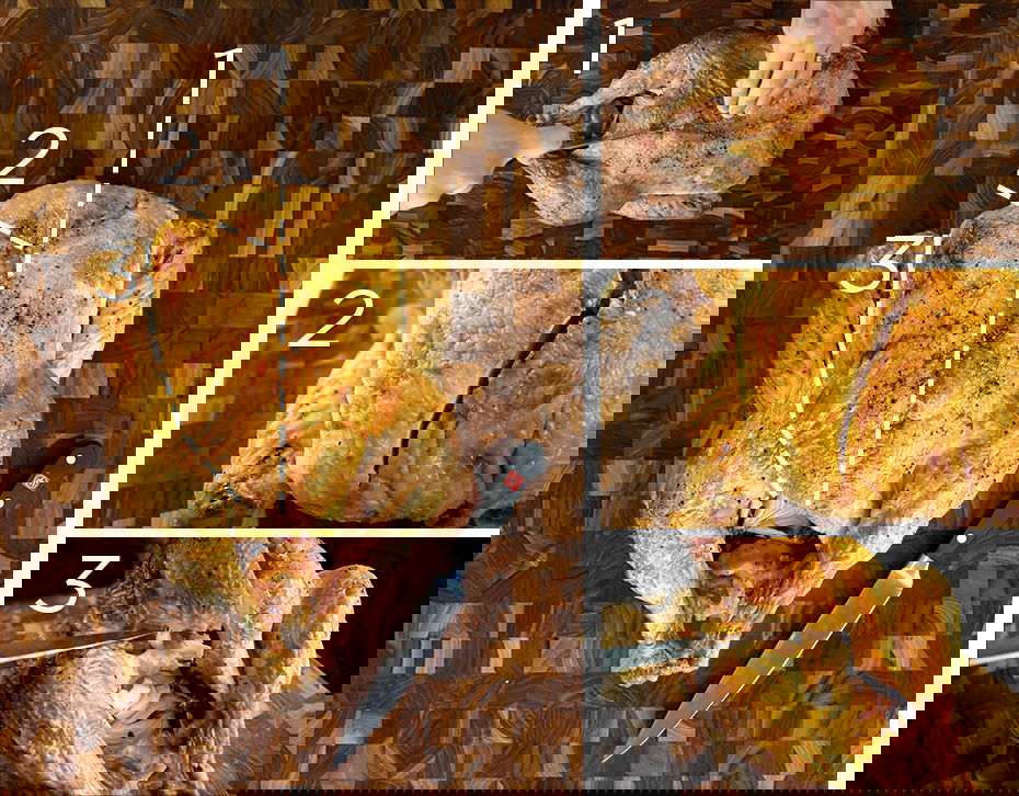 How to Carve a Turkey