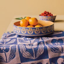 Danica Brands | Kitchen Towels, Textiles, & Accessories | Everything ...